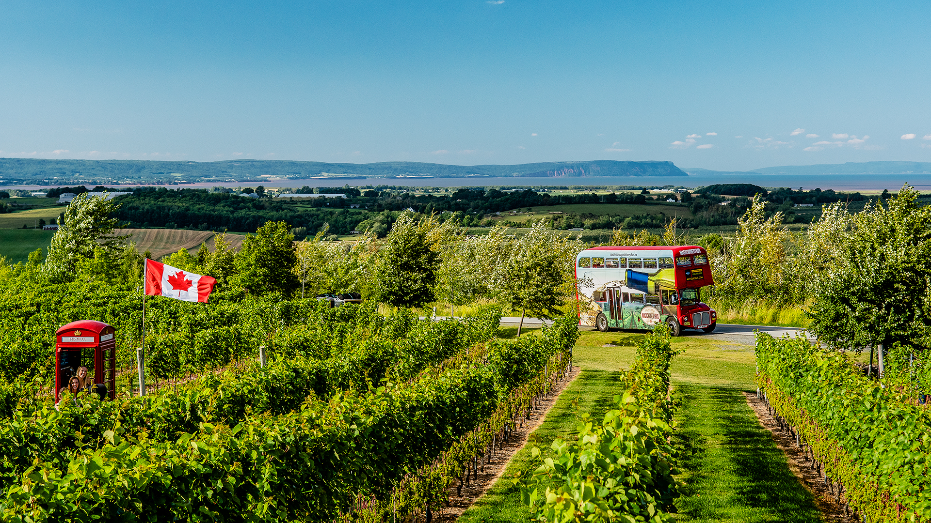 Magic Winery Bus - Wine Growers Nova Scotia